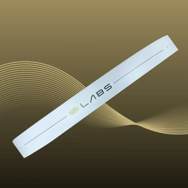 Vợt Pickleball Selkirk LABS Project Boomstik Regal – Pickleballviet